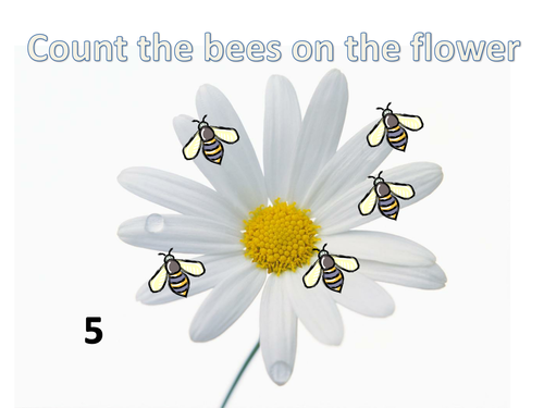 Counting objects using plants | Teaching Resources
