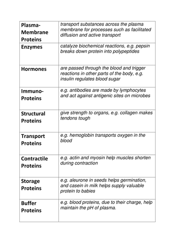 Proteins Card Sort | Teaching Resources