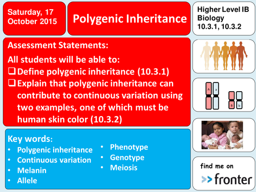 Polygenic Inheritance | Teaching Resources