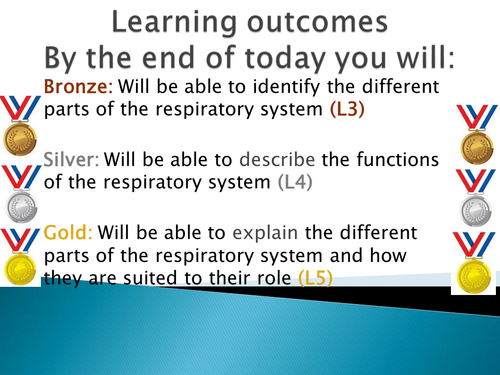 Respiration Revision Lesson | Teaching Resources