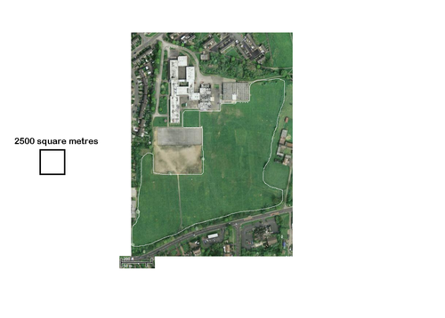 Using quadrats | Teaching Resources