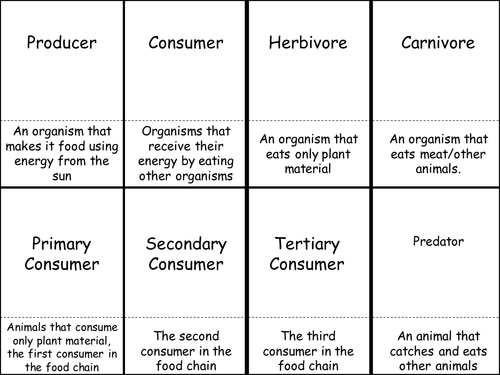 Food Chain card game | Teaching Resources