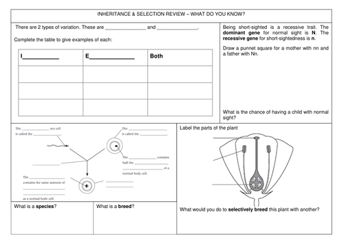 9A Inheritance and Selection review | Teaching Resources