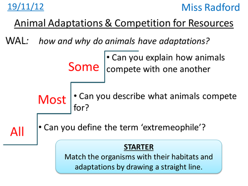 B1.2 Animal adaptations & competition - AQA Core | Teaching Resources