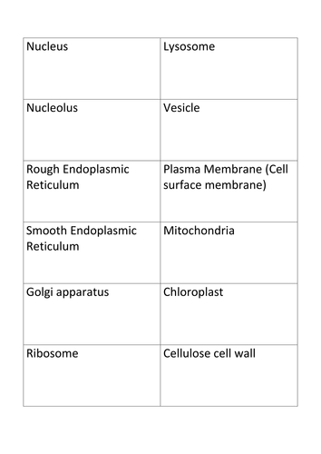 cell organelle flash cards | Teaching Resources