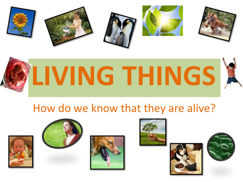 Characteristics of living things by halhalhal - Teaching Resources - TES