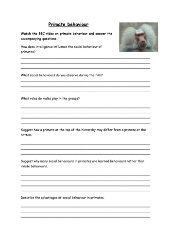 Primate behavior | Teaching Resources